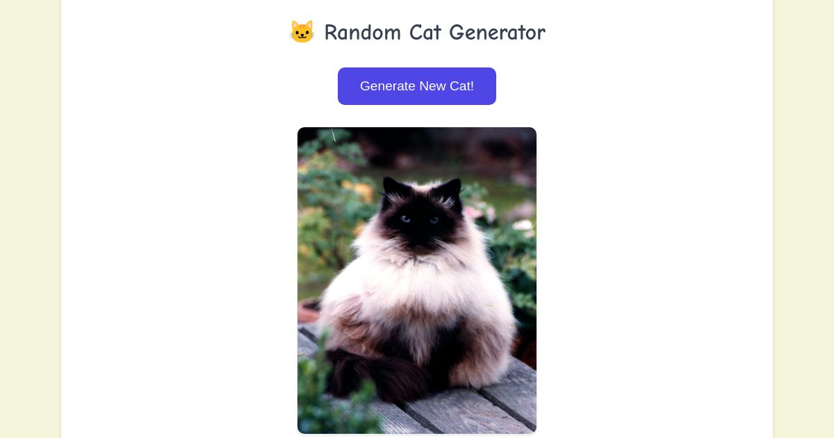 Random Cat Generator