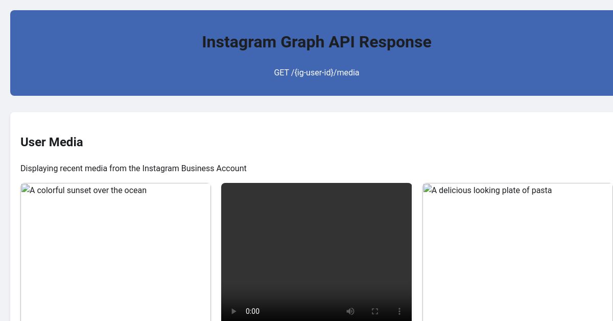 Instagram Graph API Response - User Media