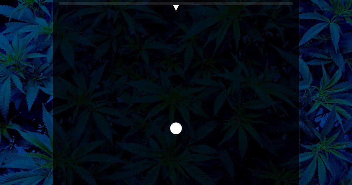 Spectacular Random Winner Picker Wheel with GIF Fireworks