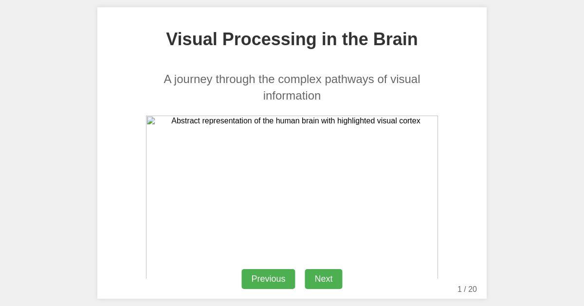 Visual Processing in the Brain